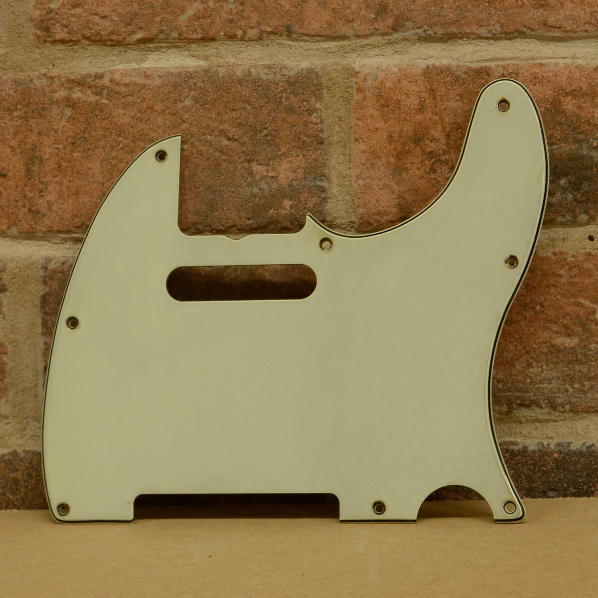 TC Pickguard Grey'd Mint GE0477 – Golden Era Aged Guitars